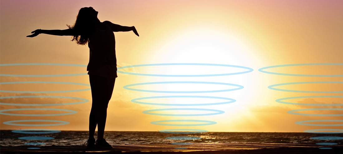 The Bioenergetic Organism - PEMF Device - Magnetic field therapy for ...